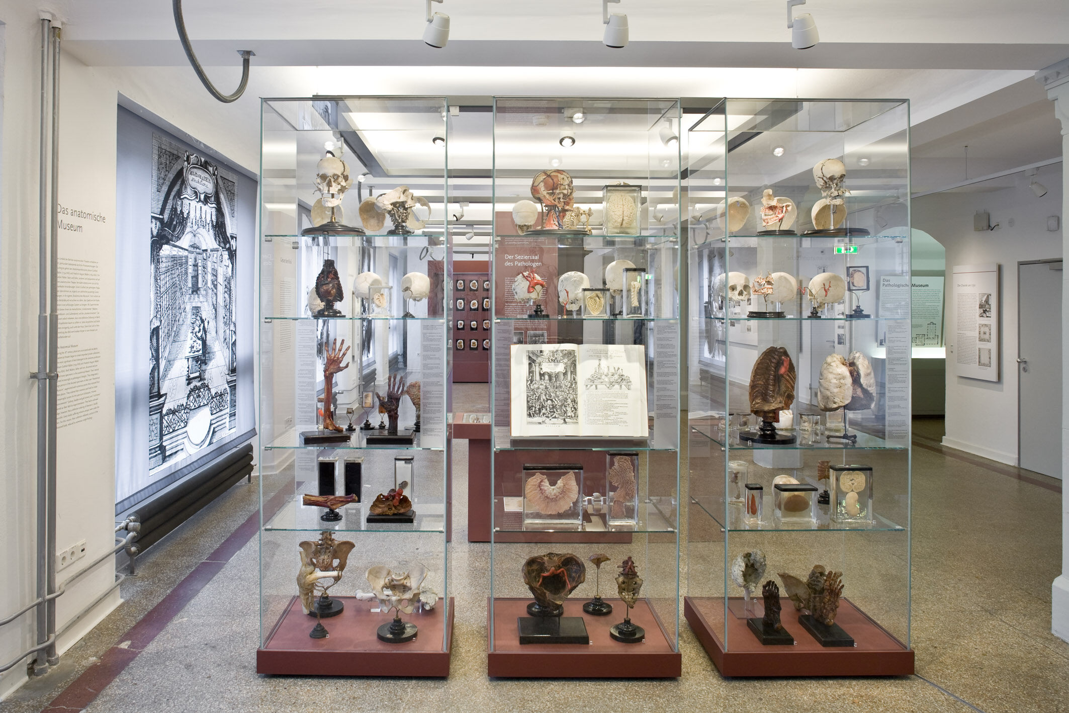 Tracing life | Exhibitions | bmm – Berliner Medizinhistorisches Museum ...