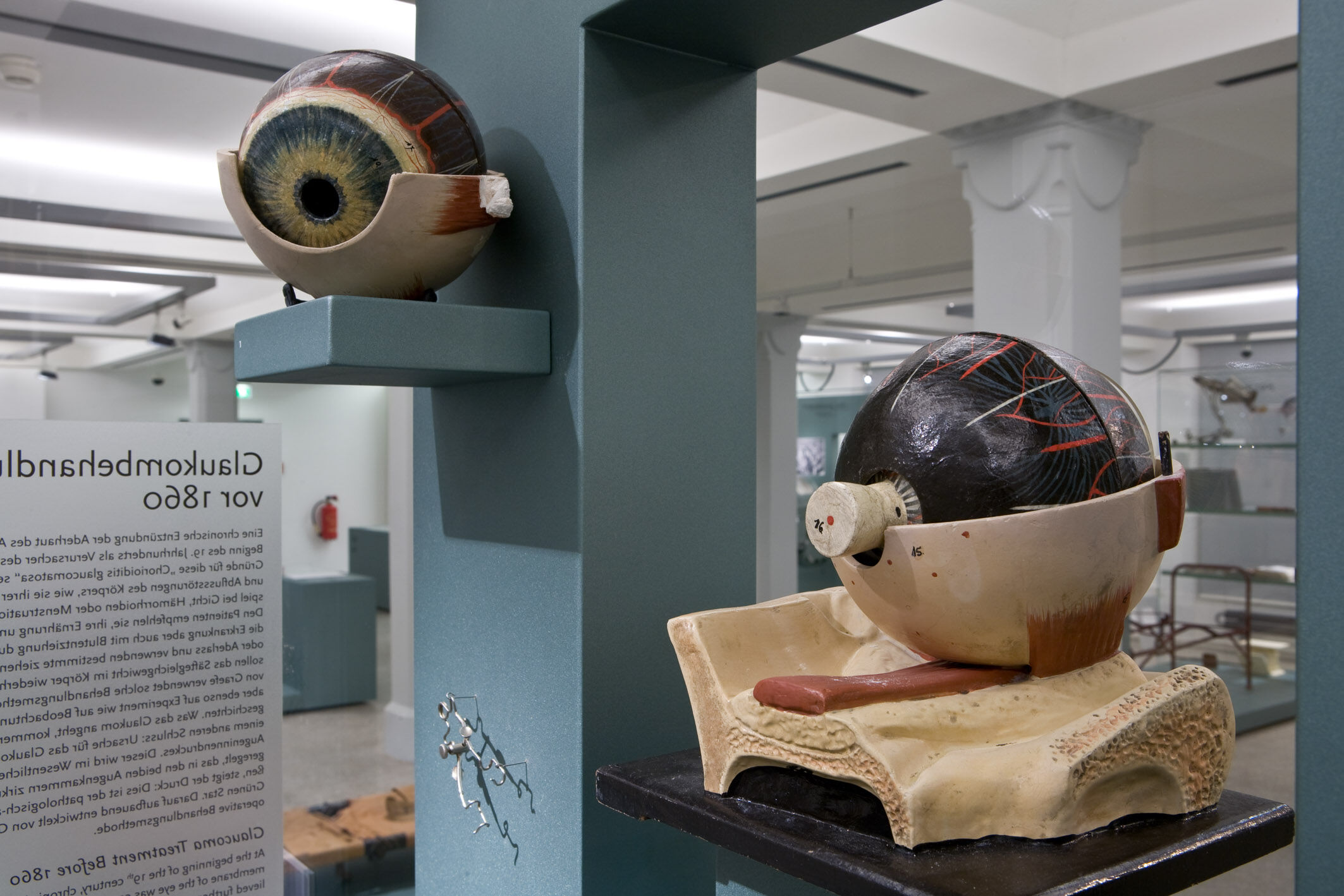 Tracing life | Exhibitions | bmm – Berliner Medizinhistorisches Museum ...