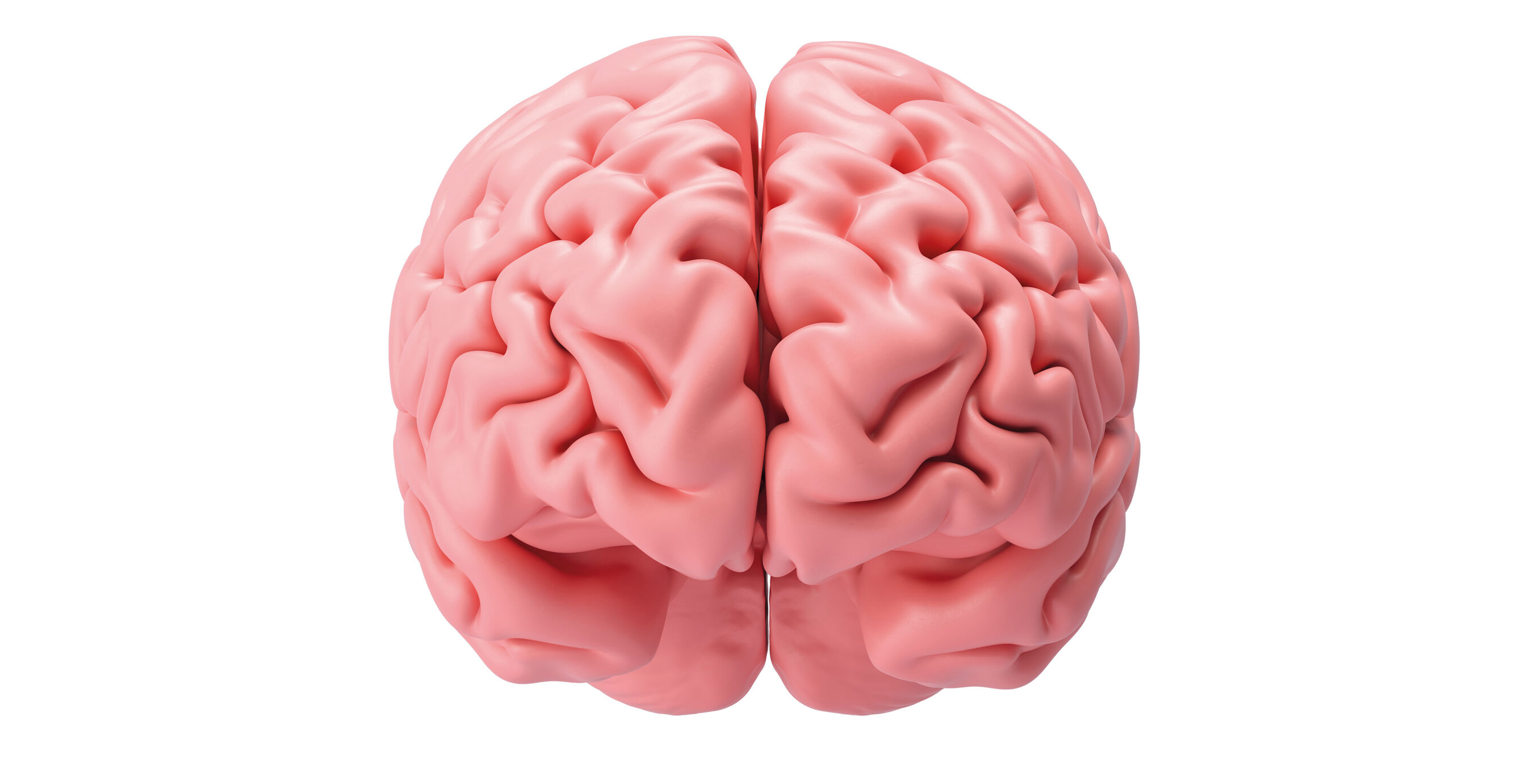 bmm – Berliner Medizinhistorisches Museum der Charité